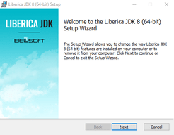 Liberica JDK 8u282+8 Install Guide