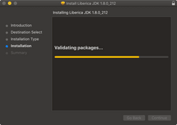 Liberica JDK 8u282+8 Install Guide