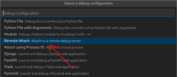 Remote debugging applications running in Docker remotely, with JetBrains and VSCode: Java, C ...