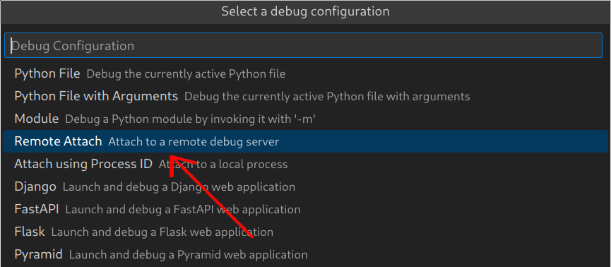Remote debugging applications running in Docker remotely, with JetBrains and VSCode: Java, C ...