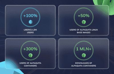 BellSoft’s annual results 2024