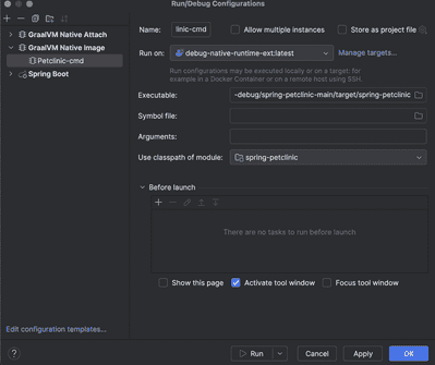 Set up GraalVM Native Image debug in IntelliJ IDEA