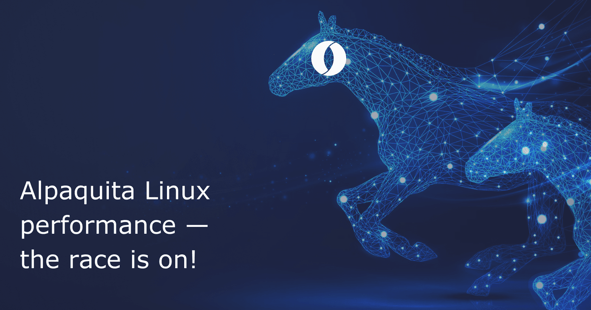 Best distribution for Linux containers: Alpaquita performance study
