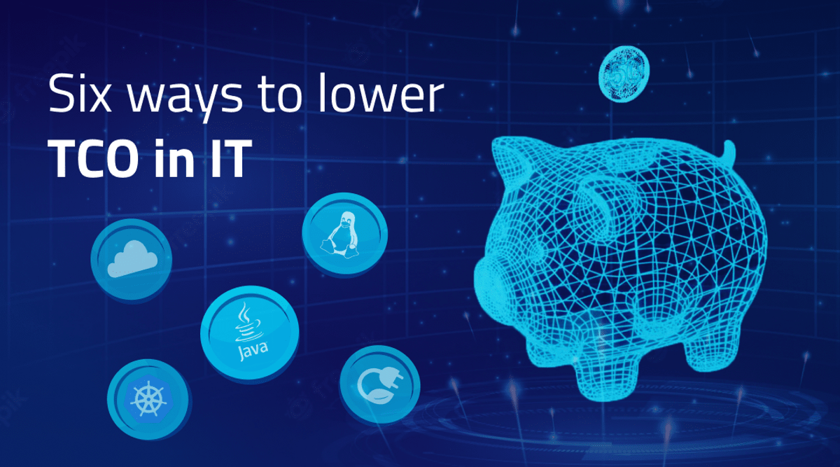 Six TCO reduction practices for IT companies | BellSoft Java