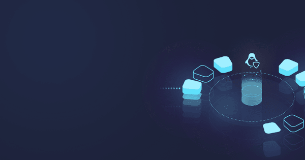 Alpaquita Linux features for performance and security