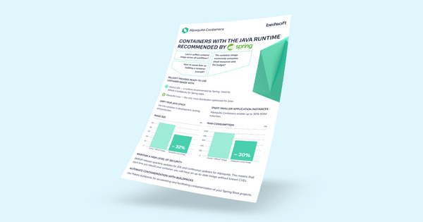 Bellsoft’s Content Library
