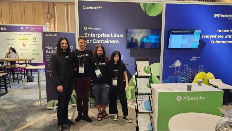 BellSoft’s annual results 2024